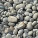 3/4"-1" River Rock - Southwest Garden Supplies Ltd